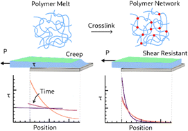 Understanding the role of crosslink density and linear viscoelasticity ...