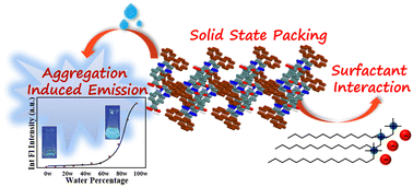 Surfactant-induced disaggregation of a quinoxaline AIEgen scaffold ...