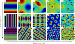 Vorticity phase separation and defect lattices in the isotropic phase of active liquid crystals ...