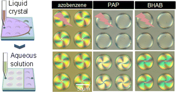 Formation of topological defects at liquid/liquid crystal interfaces in micro-wells controlled ...