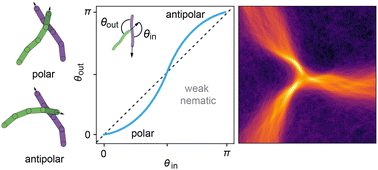 Hierarchical defect-induced condensation in active nematics - Soft Matter (RSC Publishing)