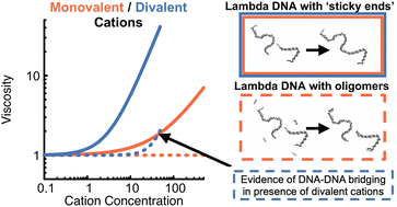 Effects of monovalent and divalent cations on the rheology of entangled ...