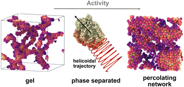 Phase behaviour and dynamics of three-dimensional active dumbbell ...