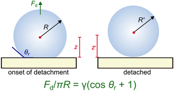 Droplet detachment force and its relation to Young–Dupre adhesion ...