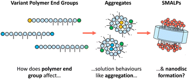 The effect of polymer end-group on the formation of styrene – maleic ...
