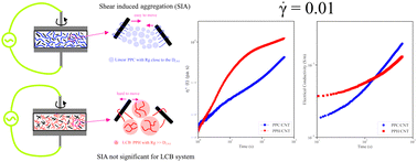 Unveiling the restricted mobility of carbon nanotubes inside a long ...