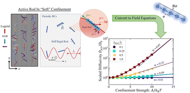 Soft confinement of self-propelled rods: simulation and theory - Soft ...