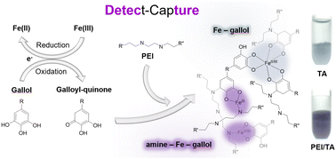 Simultaneous coupling of metal removal and visual detection by nature ...