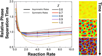 Modeling the competition between phase separation and polymerization ...