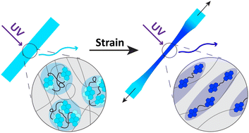 Mechanochromic polymer blends made with an excimer-forming telechelic ...