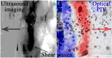 High-speed ultrasound imaging of bubbly flows and shear waves in soft ...