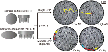 Dynamics of self-propelled particles in vibrated dense granular media ...