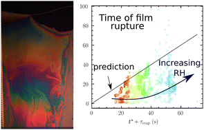 Lifetime of vertical giant soap films: role of the relative humidity ...