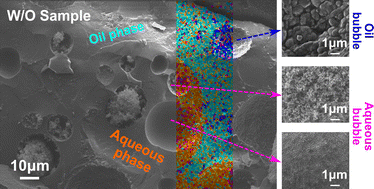 Using cryo-SEM and EDS to investigate the stabilisation of oil–water ...