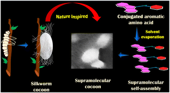 A bio-inspired silkworm 3D cocoon-like hierarchical self-assembled ...