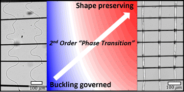 Directional actuation and phase transition-like behavior in anisotropic ...