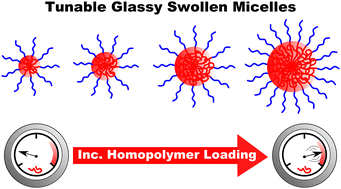Unimer suppression enables supersaturated homopolymer swollen micelles ...