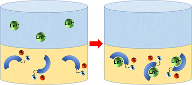 A perspective on task-specific ionic liquids for the separation of rare ...