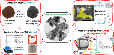 Spent-coffee grounds-derived biochar-supported heterogeneous ...