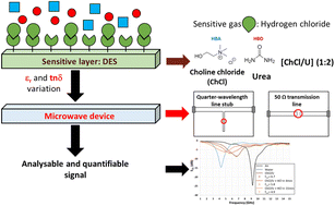 The use of deep eutectic solvents as a promising approach in the design ...