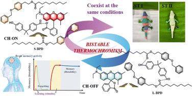 Solar-driven bistable thermochromic textiles based on supercooling and ...