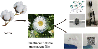 From cotton to functional flexible transparent film for printable and ...