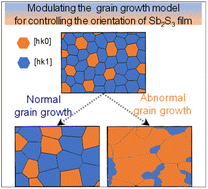 The role of grain growth in controlling the crystal orientation of ...
