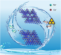 Highly efficient removal of Cs+ from water by an ionic lamellar carbon ...