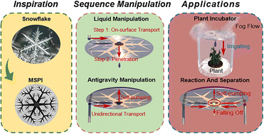 Sequence liquid manipulation on a multifunctional snowflake-patterned ...
