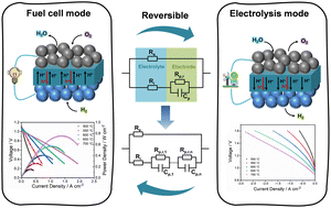A double perovskite oxygen electrode in Zr-rich proton conducting ...