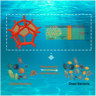 Biomimetic porous cellular foam with space thermal domains for ...