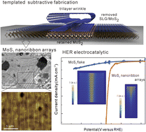 Edge-dominated hydrogen evolution reactions in ultra-narrow MoS2 ...