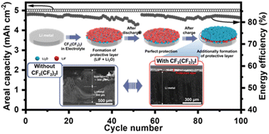 A fluoroalkyl iodide additive for Li–O2 battery electrolytes enables ...