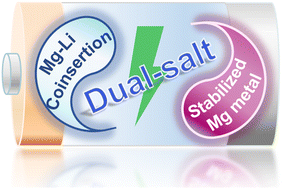 A bifunctional electrolyte for activating Mg–Li hybrid batteries ...
