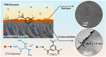Microporous poly(triaminoguanidinium-amide) nanofilms with sub-nm ...