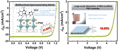 Multifunctional molecule interface modification for high-performance ...
