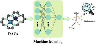 Data-driven design of double-atom catalysts with high H2 evolution ...