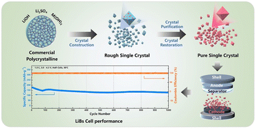 Engineering commercial polycrystalline precursors to single crystal Ni-rich cathodes with ...