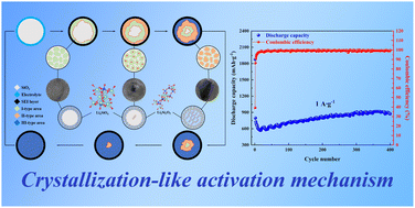 Insights into a crystallization-like activation mechanism of diatom ...