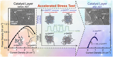 Conformational distortion of the ionomer backbone for reinforcing the ...