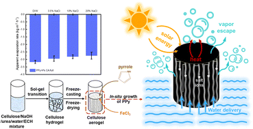 Wood-inspired polypyrrole/cellulose aerogels with vertically aligned ...