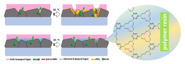 Surface polymerization of melamine resin on a perovskite: enhancing the ...
