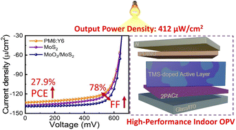 Phase-engineered two-dimensional MoO3/MoS2 hybrid nanostructures enable ...