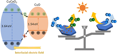 CuCoO2/CuO heterostructure: understanding the role of band alignment in ...