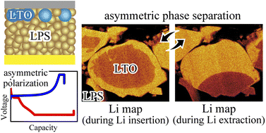 Visualizing asymmetric phase separation driven by surface ionic ...