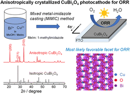 Visible-light-driven oxygen reduction by an anisotropically crystallized CuBi2O4 photocathode ...