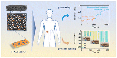 A dual-mode foam sensor employing Ti3C2Tx/In2O3 composites for NH3 ...