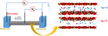 Nanofluidic ion regulation membranes based on two-dimensional vacancy ...