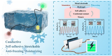 Multifunctional conductive hydrogels for wearable sensors and ...