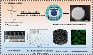 Synthesis of completely solvent-free biomedical waterborne polyurethane ...